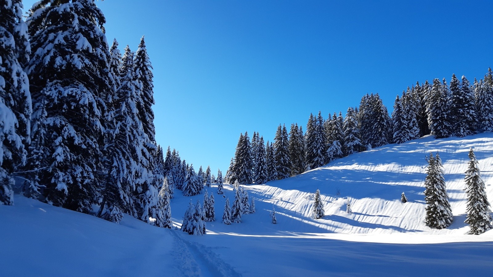 Roche Plane, Versant Est, le 16.12.23 par Six26