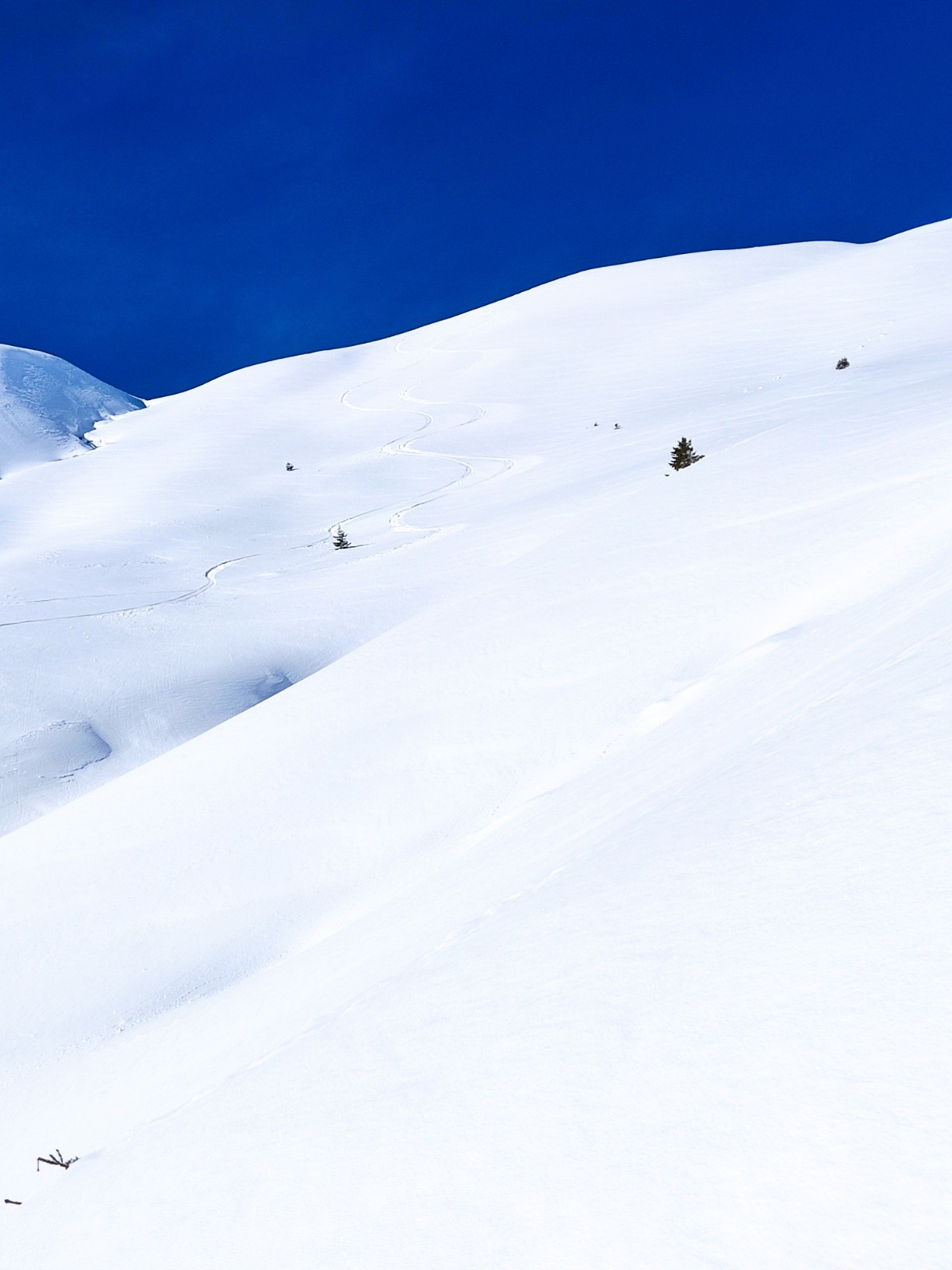 Pointe de Combe Bronsin, le 23.12.23 par Gabriel Forray