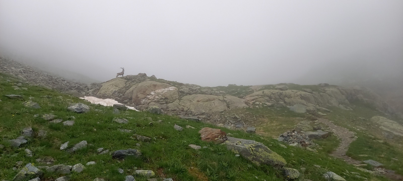 Esquive de matin brun à l'Argentière, le 01.07.24 par ThibsR